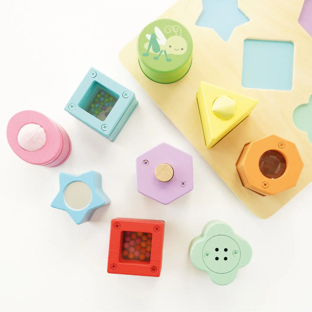 Sensory Shape Sorter – Red Barn Mercantile - Old Town Alexandria